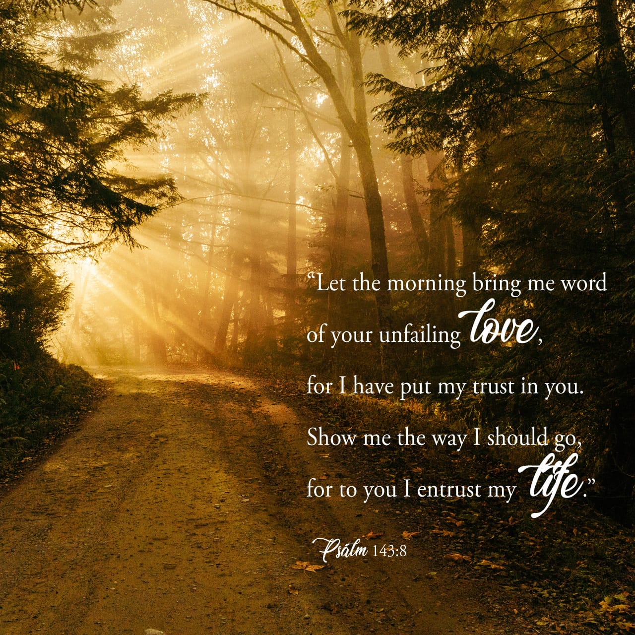 WHO IS YOUR EXAMPLE? – Intentional Faith
