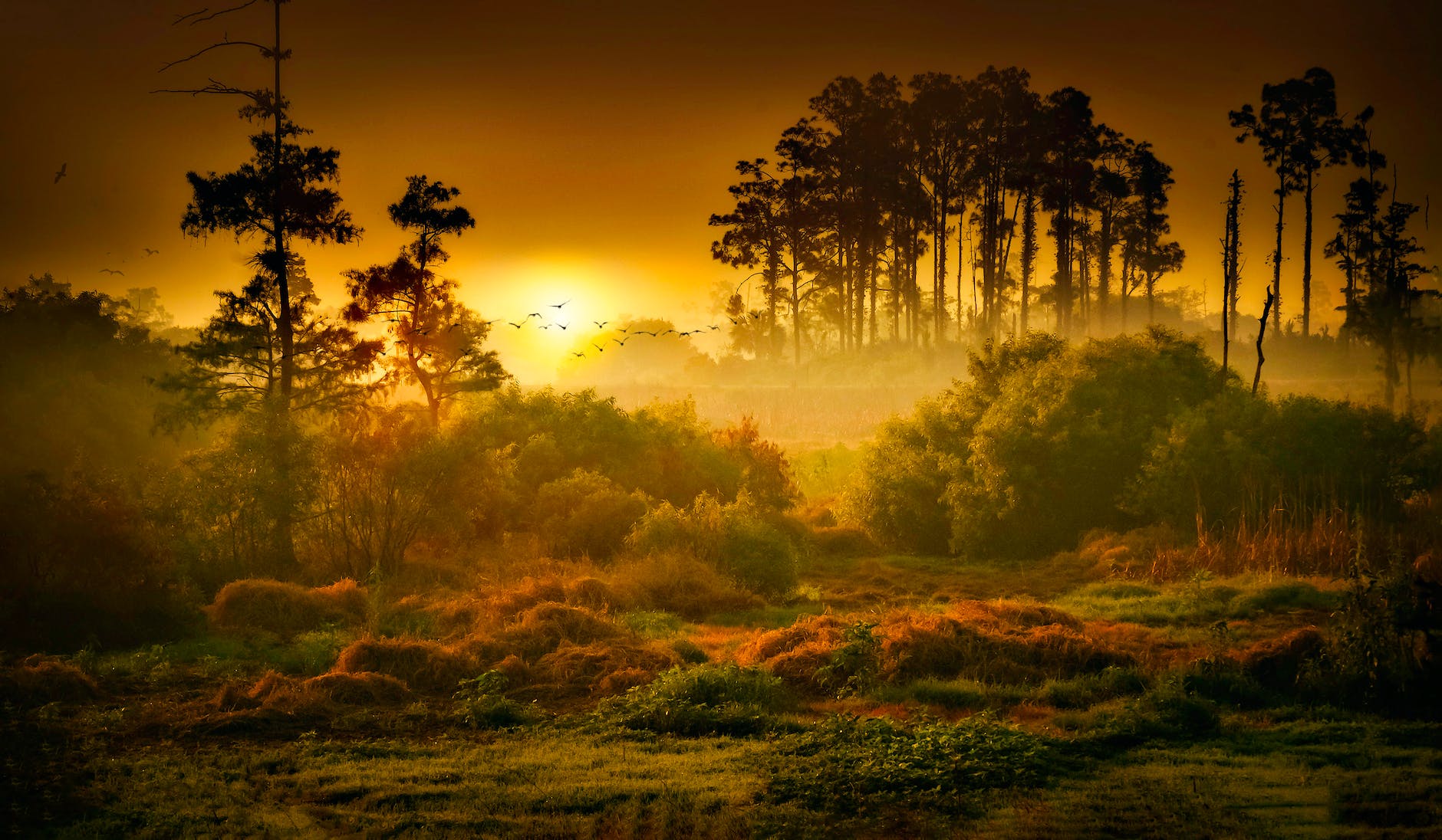 Today’s Spiritual Disciplines – Intentional Faith