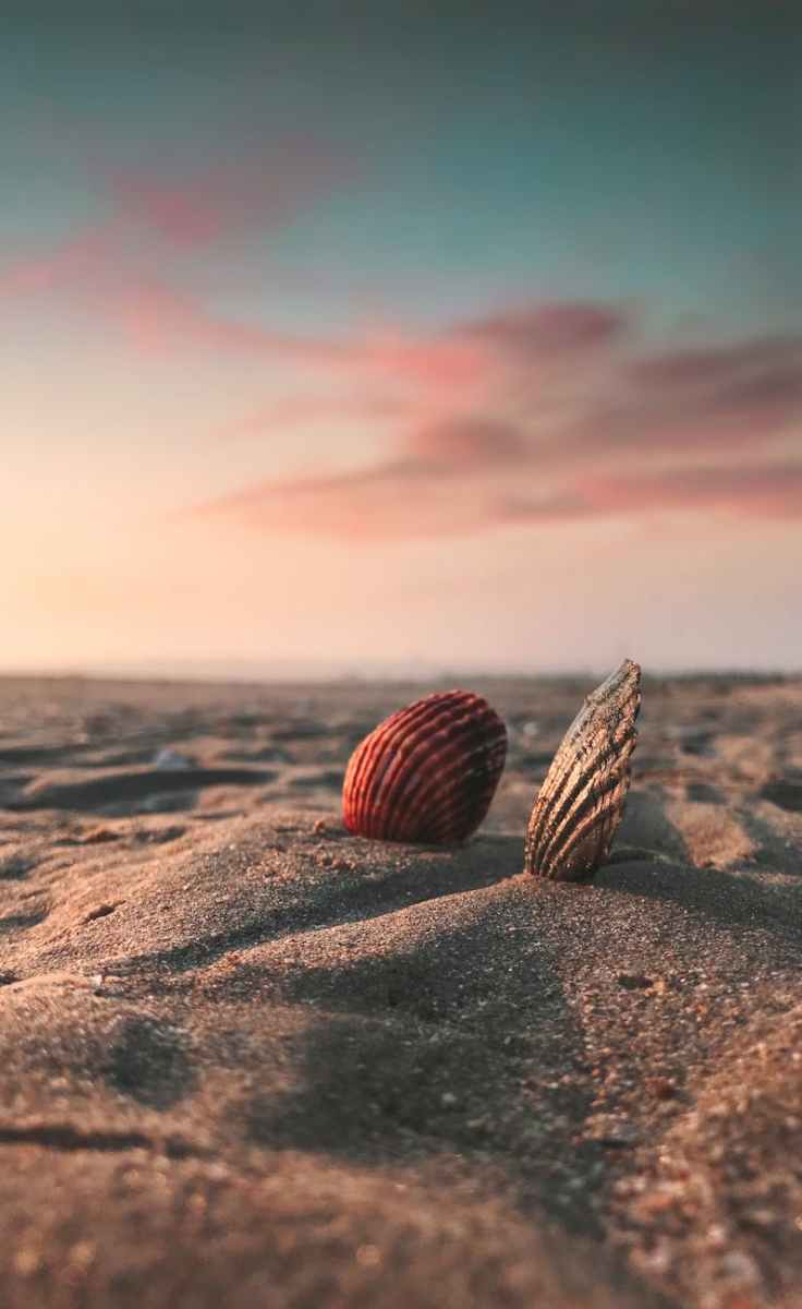 God Among the Shells – Intentional Faith